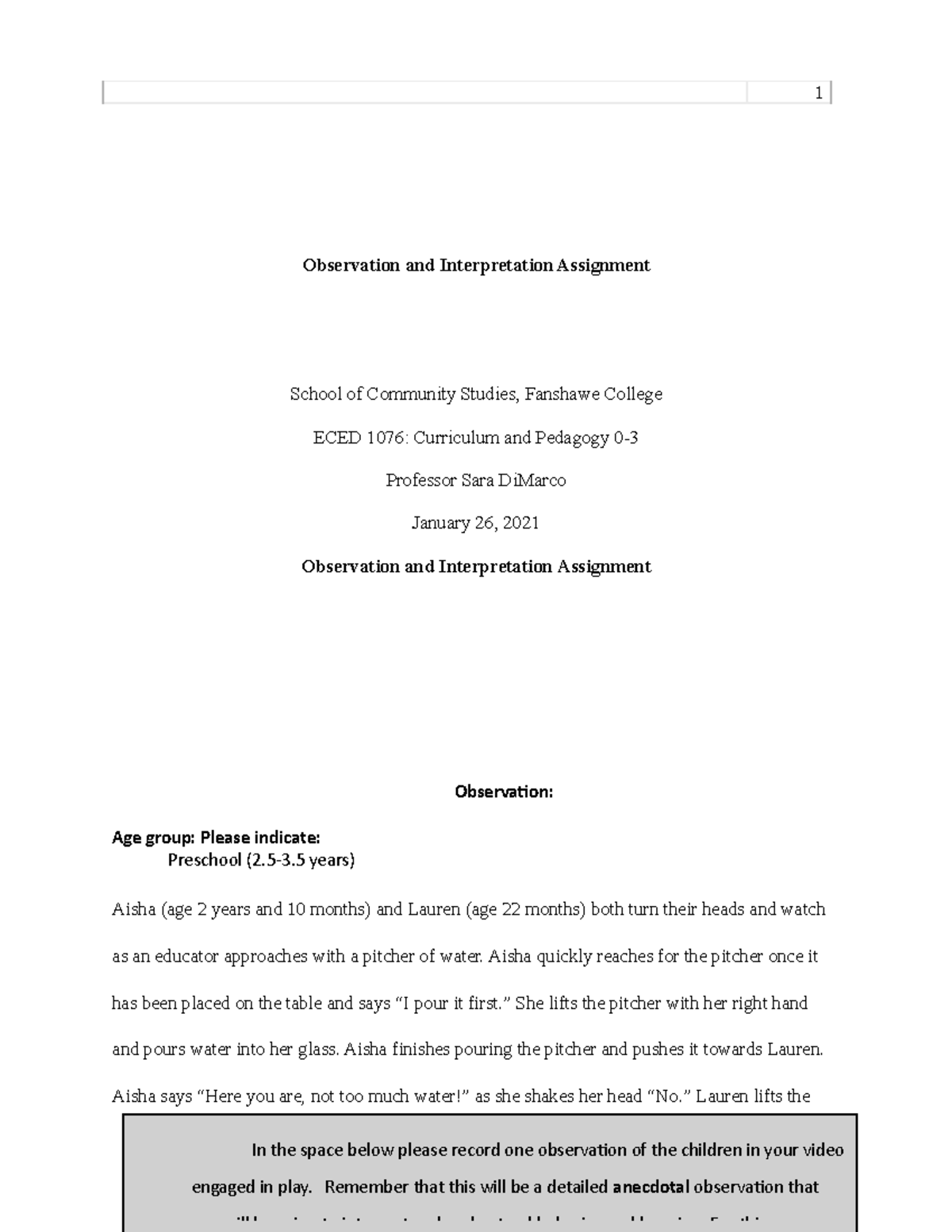 ECED 1076 Observation Template - Observation and Interpretation Assignment School of Community ...