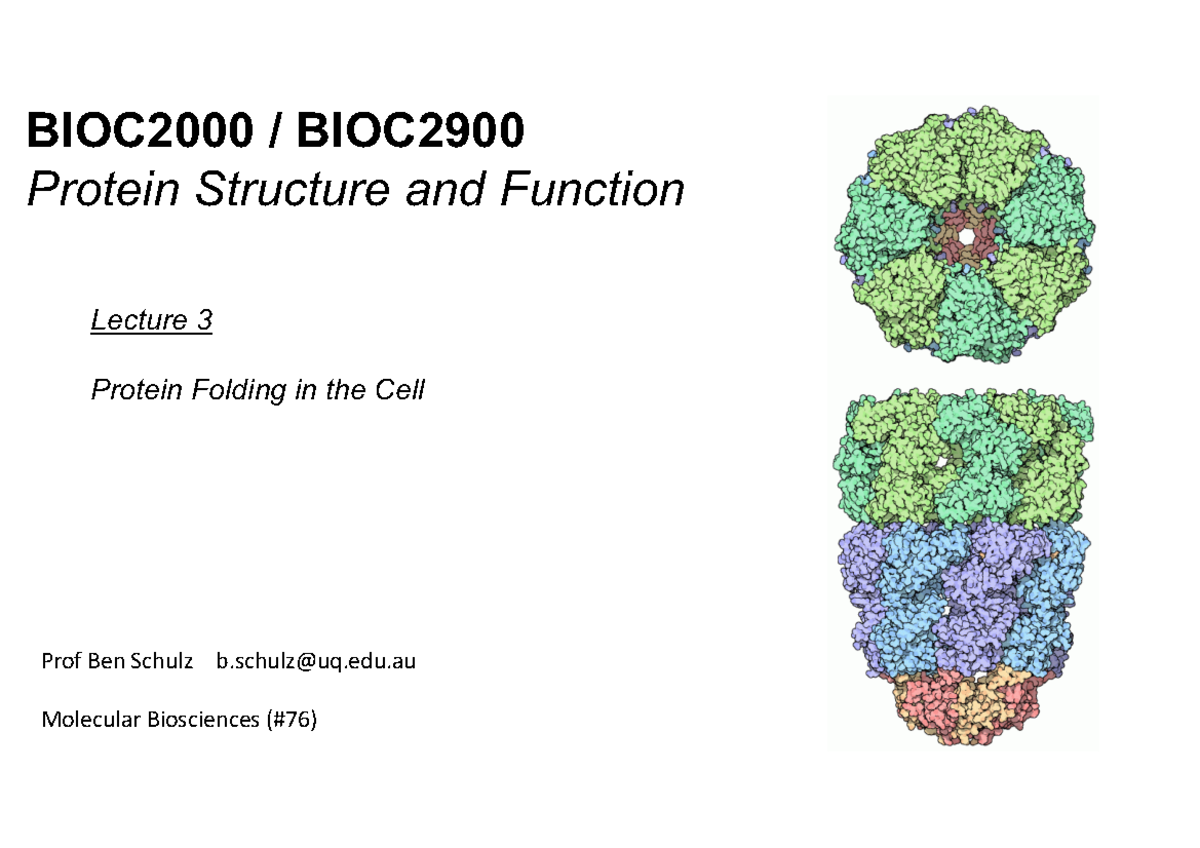 W5 L1 - Protein Folding in the Cell - BIOC2000 / BIOC Protein Structure and Function Prof Ben ...