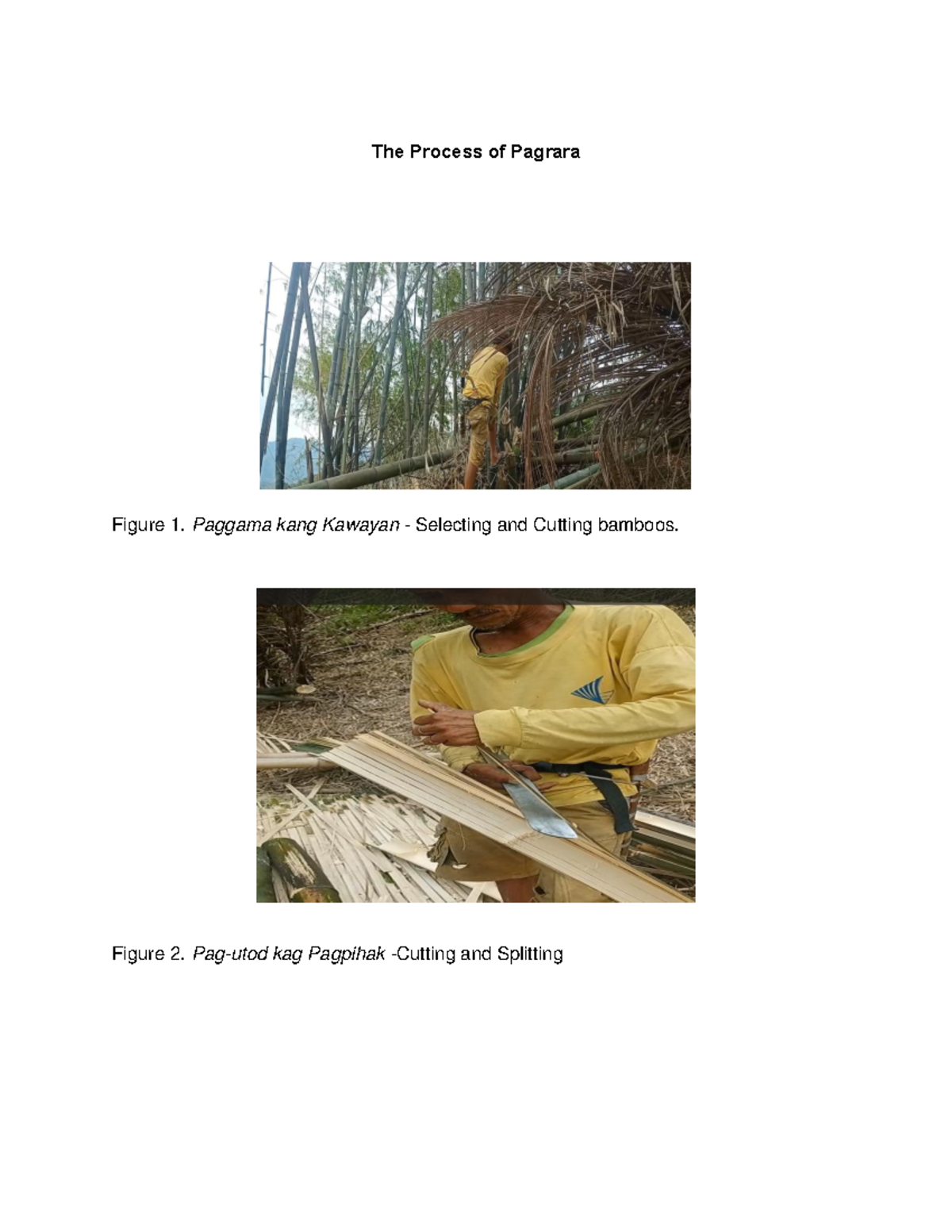 Pagrara-Process, Materials, Tools, and Products - The Process of ...