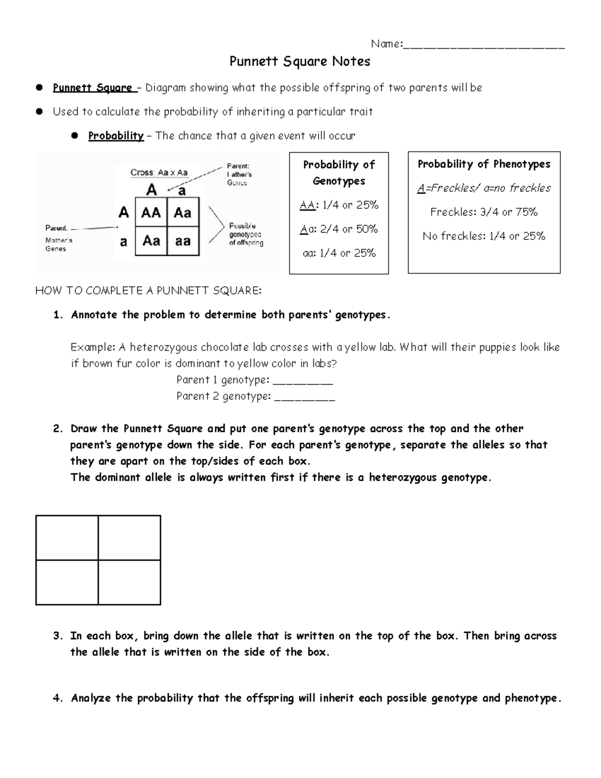 Punnett Square Guided Notes - Name:________________________ Punnett ...