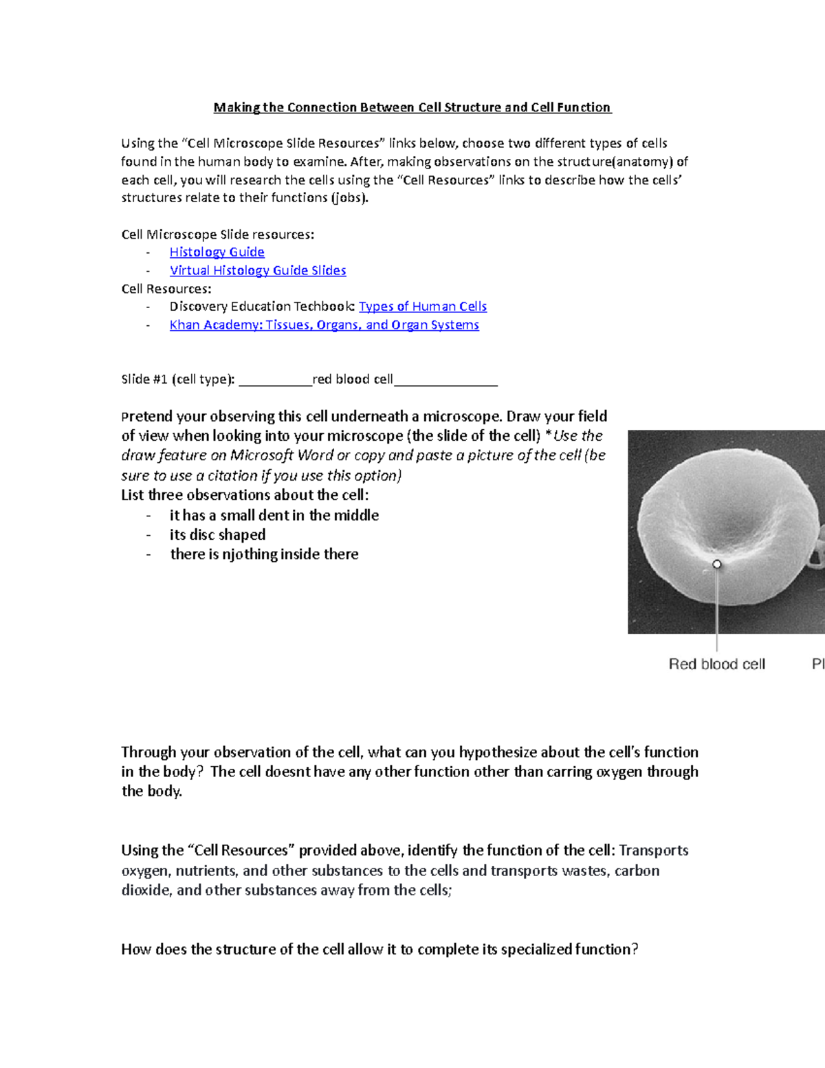Try It Making the Connection Between Structure and Function (2 ...