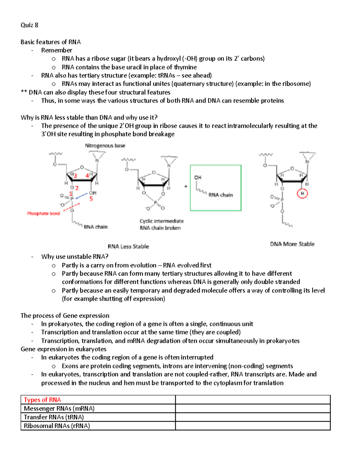 Quiz 8 - quiz study notes - Quiz 8 Basic features of RNA - Remember o ...