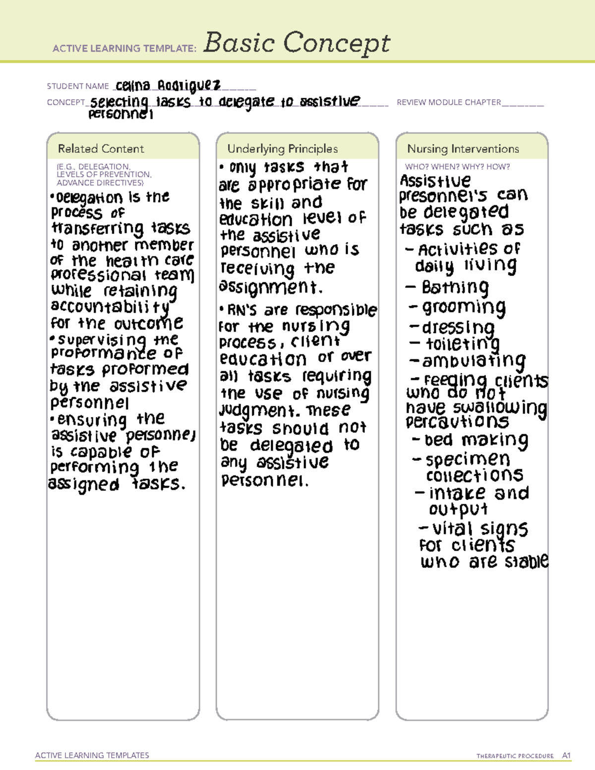 Medication template - ACTIVE LEARNING TEMPLATES THERAPEUTIC PROCEDURE A ...