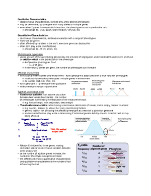 Genetics quiz 1 - quiz answers - Question 1 Fl: white W W w Jello w Ww ...