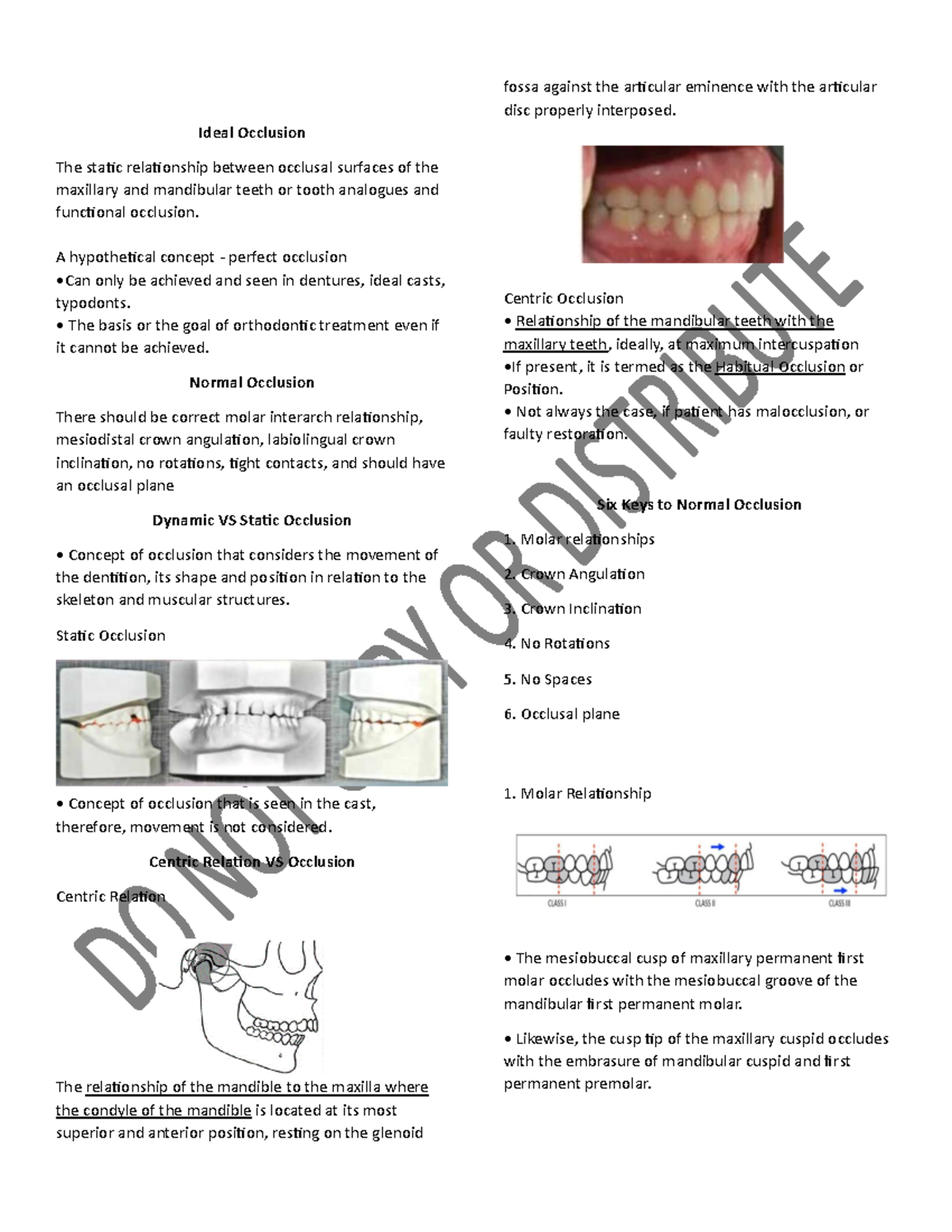 Orthodontics Lecture - Ideal Occlusion The static relationship between ...