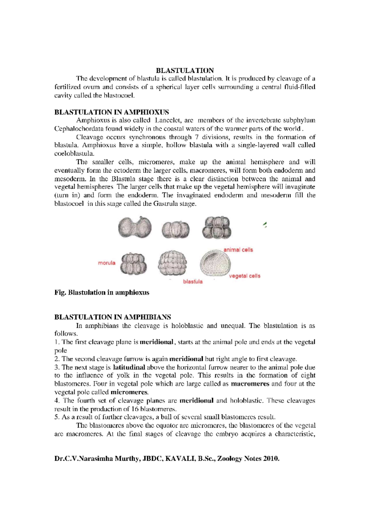 Blastulation-1 - good notes - developmental biology - Studocu