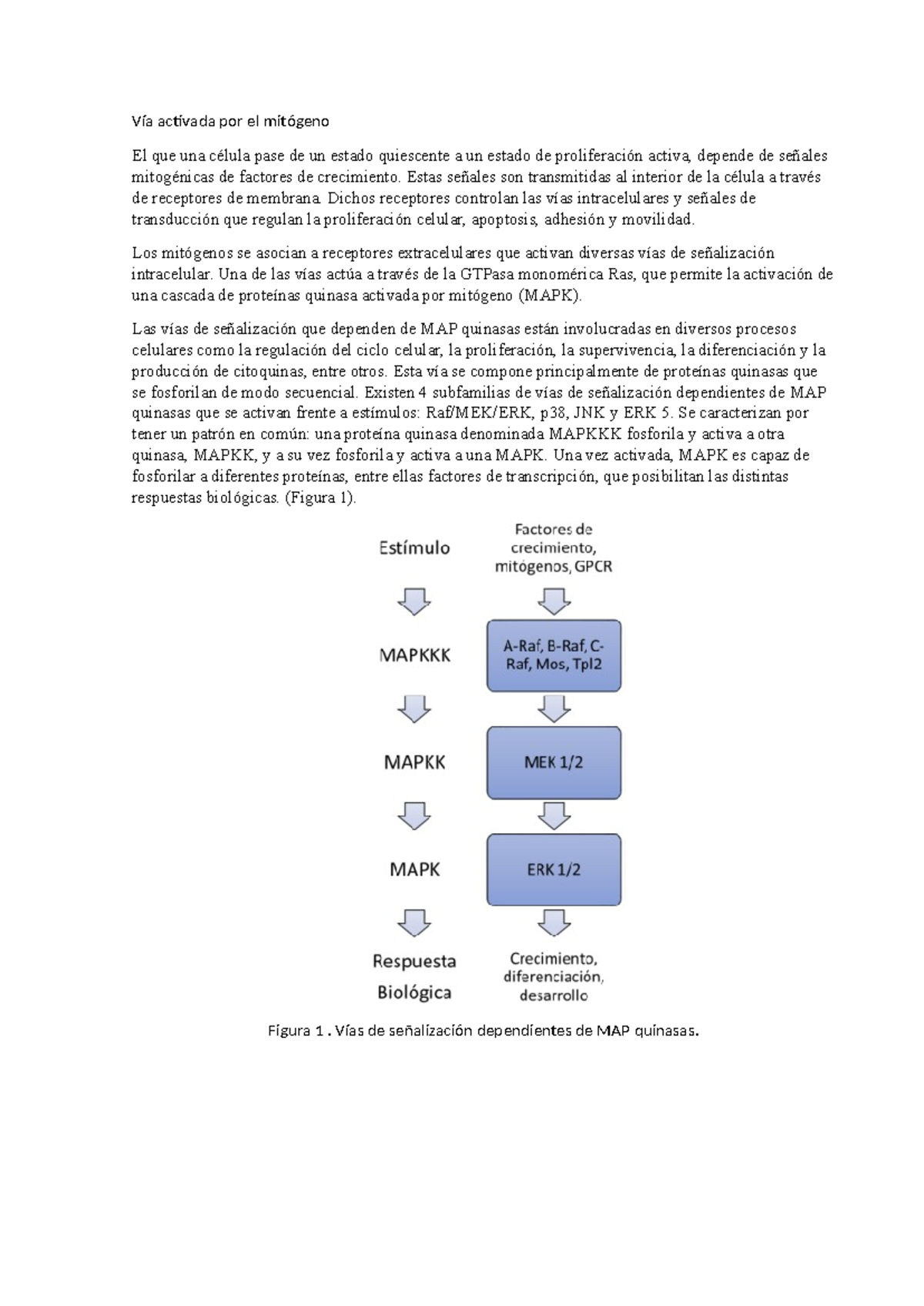 Vía activada por el mitógeno - Vía activada por el mitógeno El que una ...