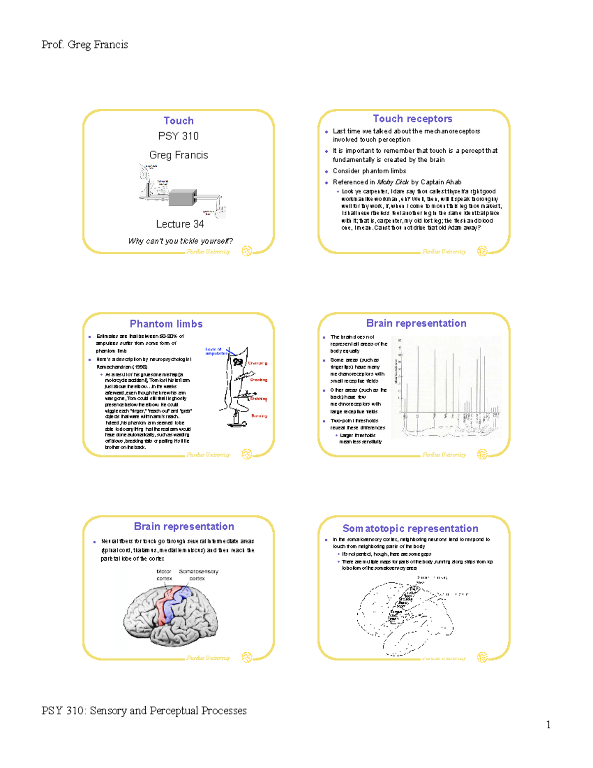 Lecture slides, lecture 34 - Prof. Greg Francis Touch PSY 310 Greg Francis Touch receptors Last ...