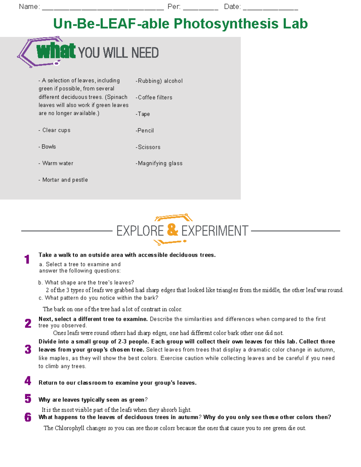 Kami Export - EVAN Mazzarella - Un-be-LEAF-able+Lab+Activity - what YOU ...