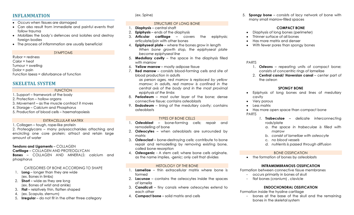 Skeletal- System - asdasdasdasd - INFLAMMATION Occurs when tissues are ...