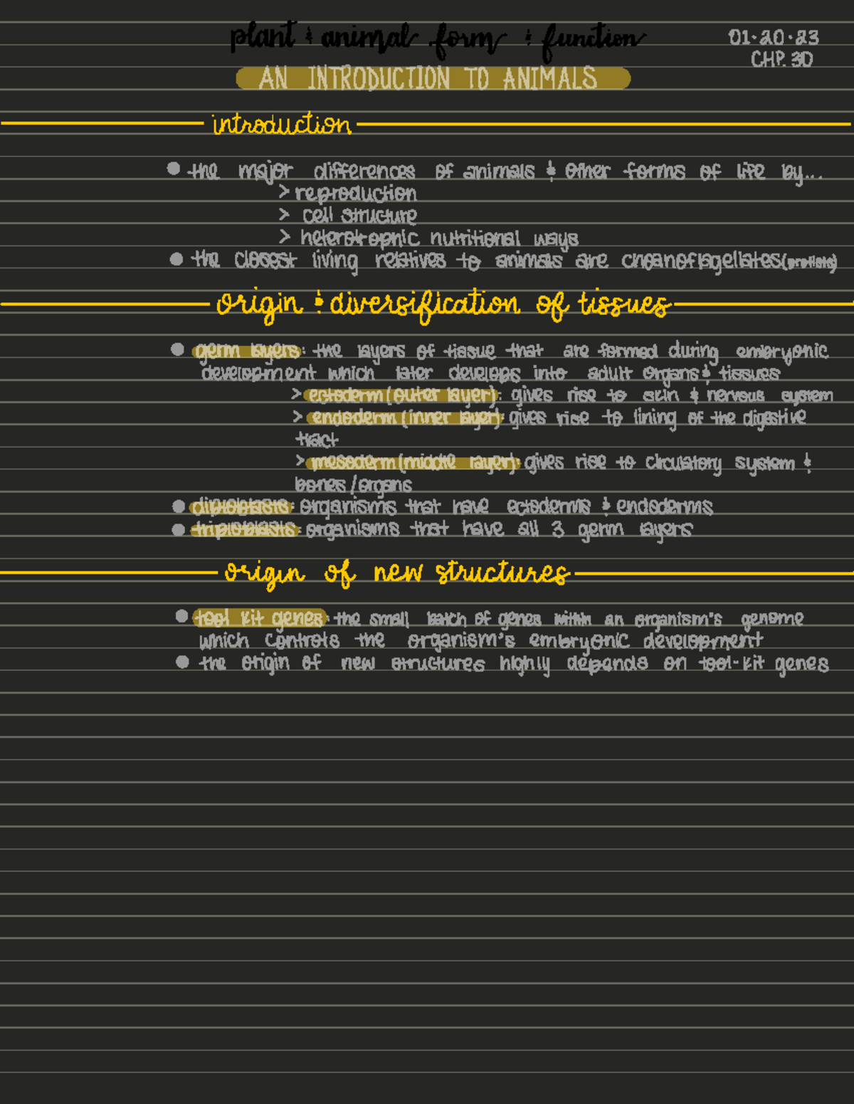 Chap. 30 notes - Chapter 30: An Introduction to Animals - BIOL 2030 ...