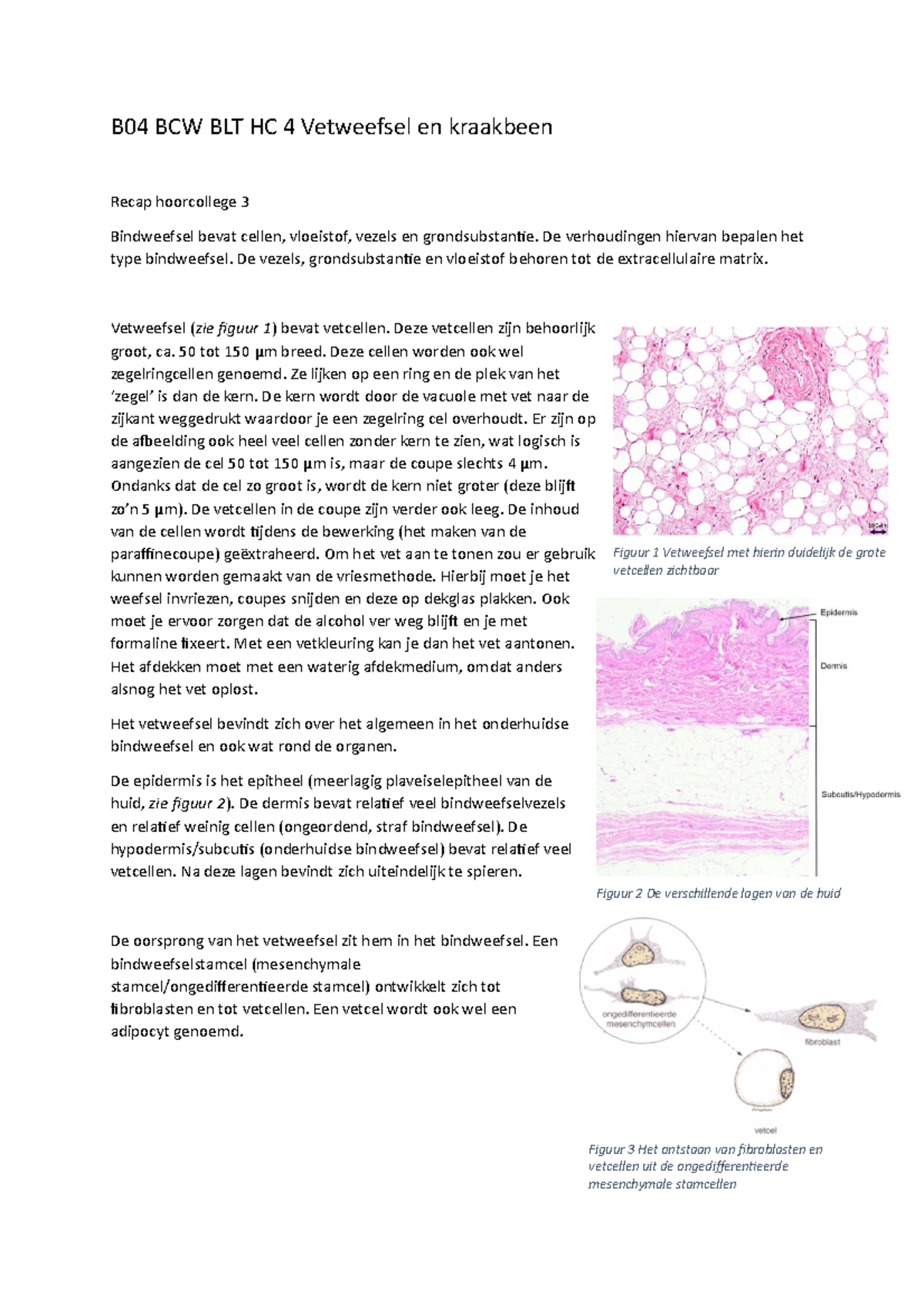 B04BCW BLT HC 4 Vetweefsel en kraakbeen (AF) - De verhoudingen hiervan ...