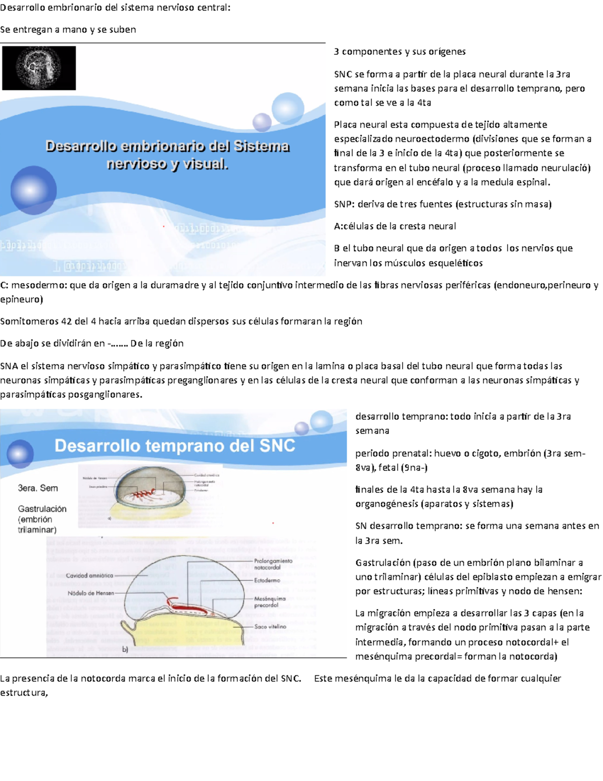 Resumen Clase 1 - embriologia del snc - Desarrollo embrionario del ...