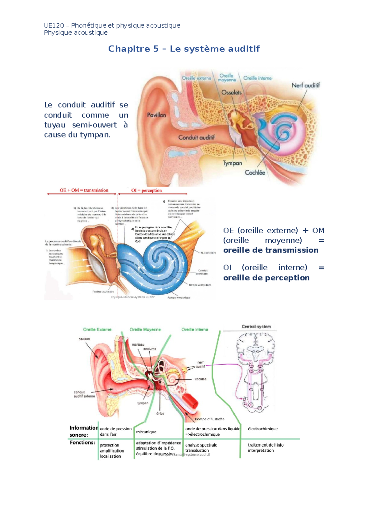 Physique acoustique - Chapitre 5 - Physique acoustique Chapitre 5 – Le ...
