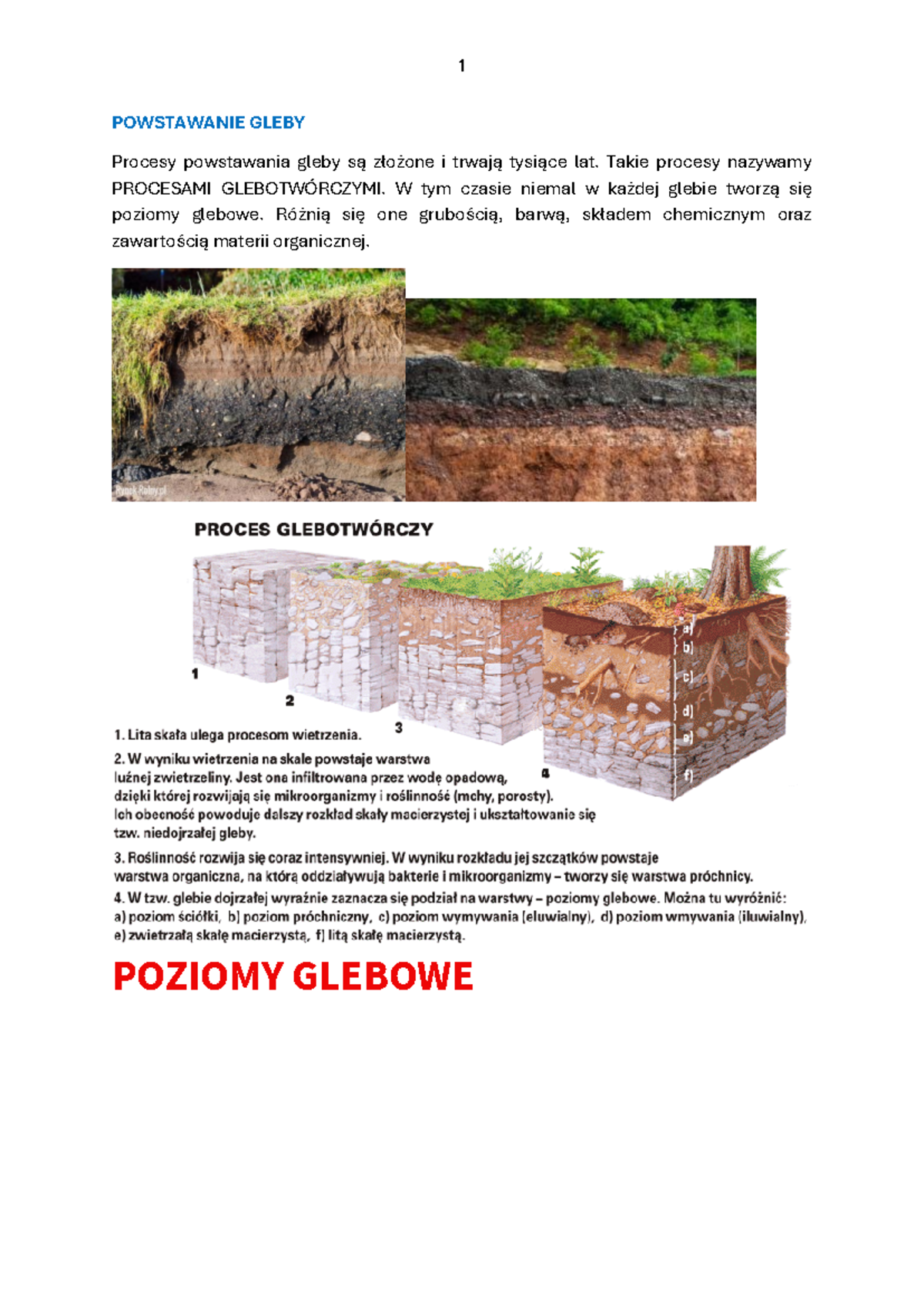 Gleby kl 7 geografia - POWSTAWANIE GLEBY Procesy powstawania gleby są ...