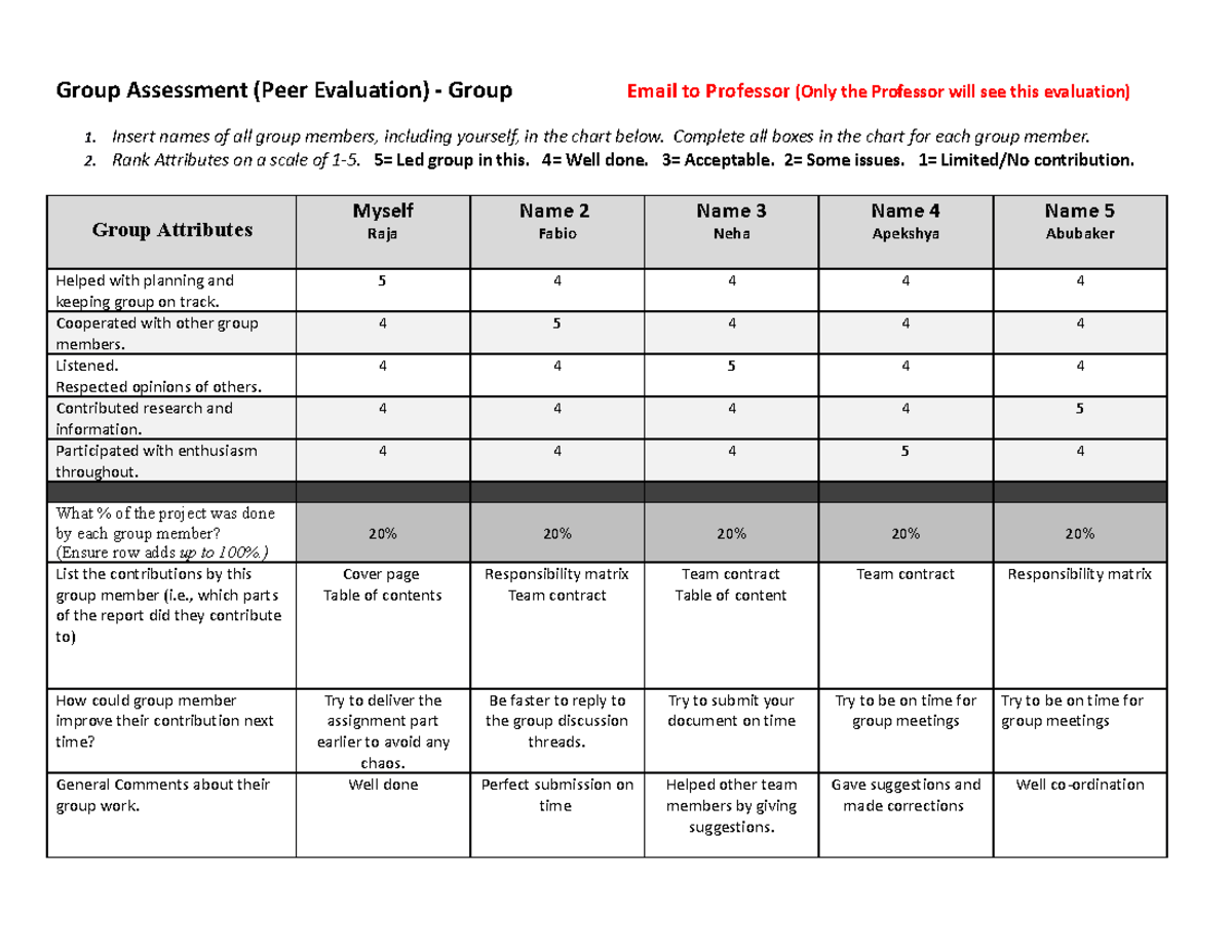 Group Case Study Report - Peer Assessment and Meeting Log Template ...