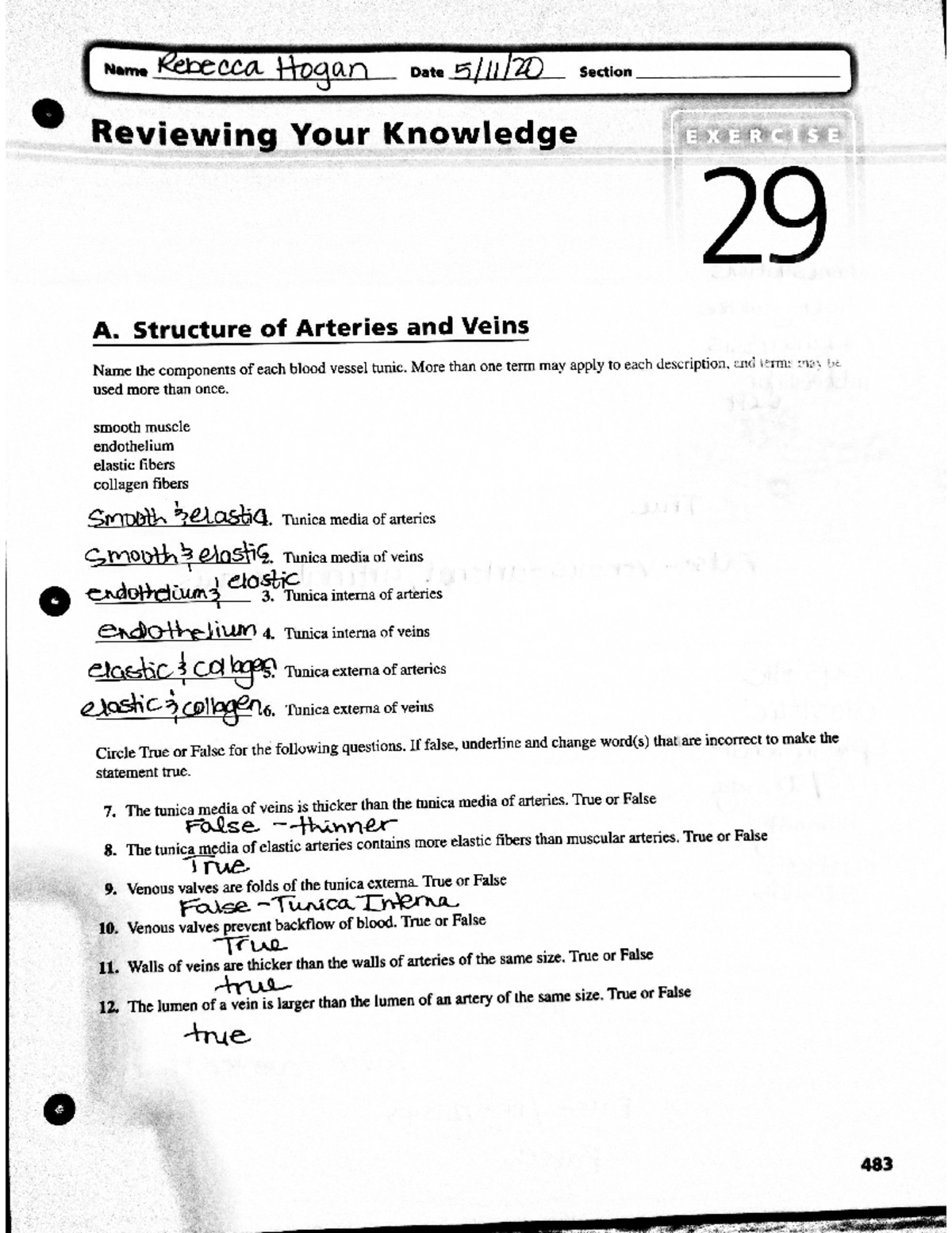 Reviewyourknowledge 29,30 - BIOL 242 - Studocu
