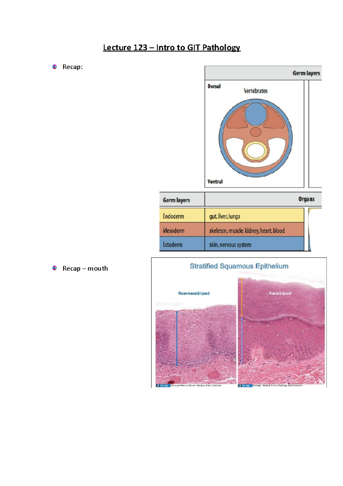 Lecture 123 – Intro to GIT Pathology - Lecture 123 – Intro to GIT Pathology Recap: Recap – mouth ...