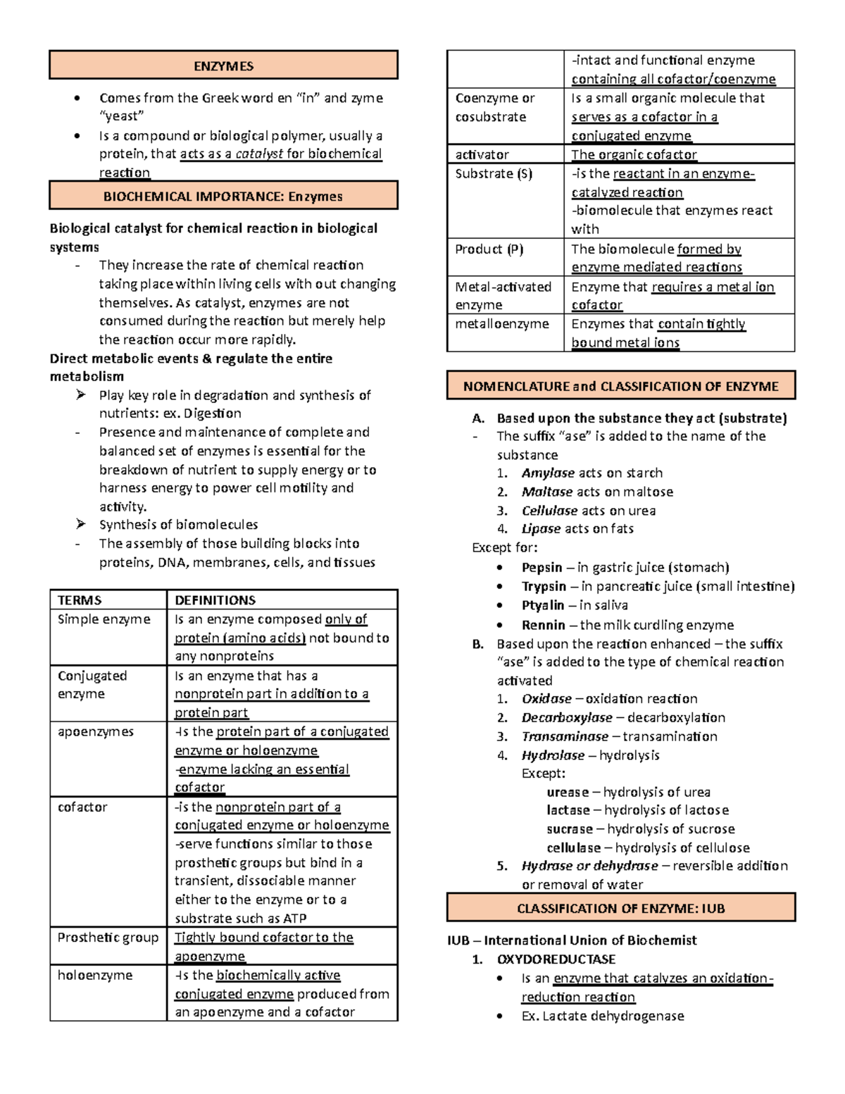 BIO 024 Transes Enzymes - Comes from the Greek word en “in” and zyme ...