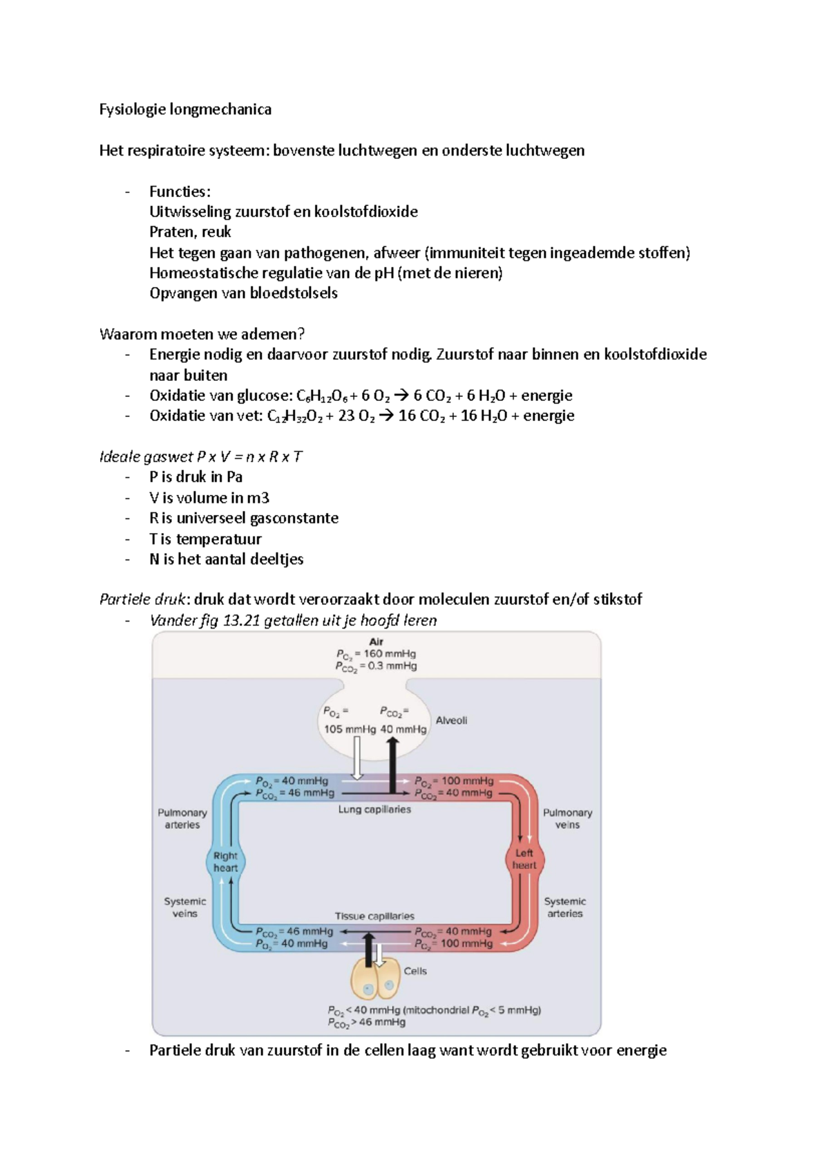 Fysiologie MBS - Fysiologie longmechanica Het respiratoire systeem ...
