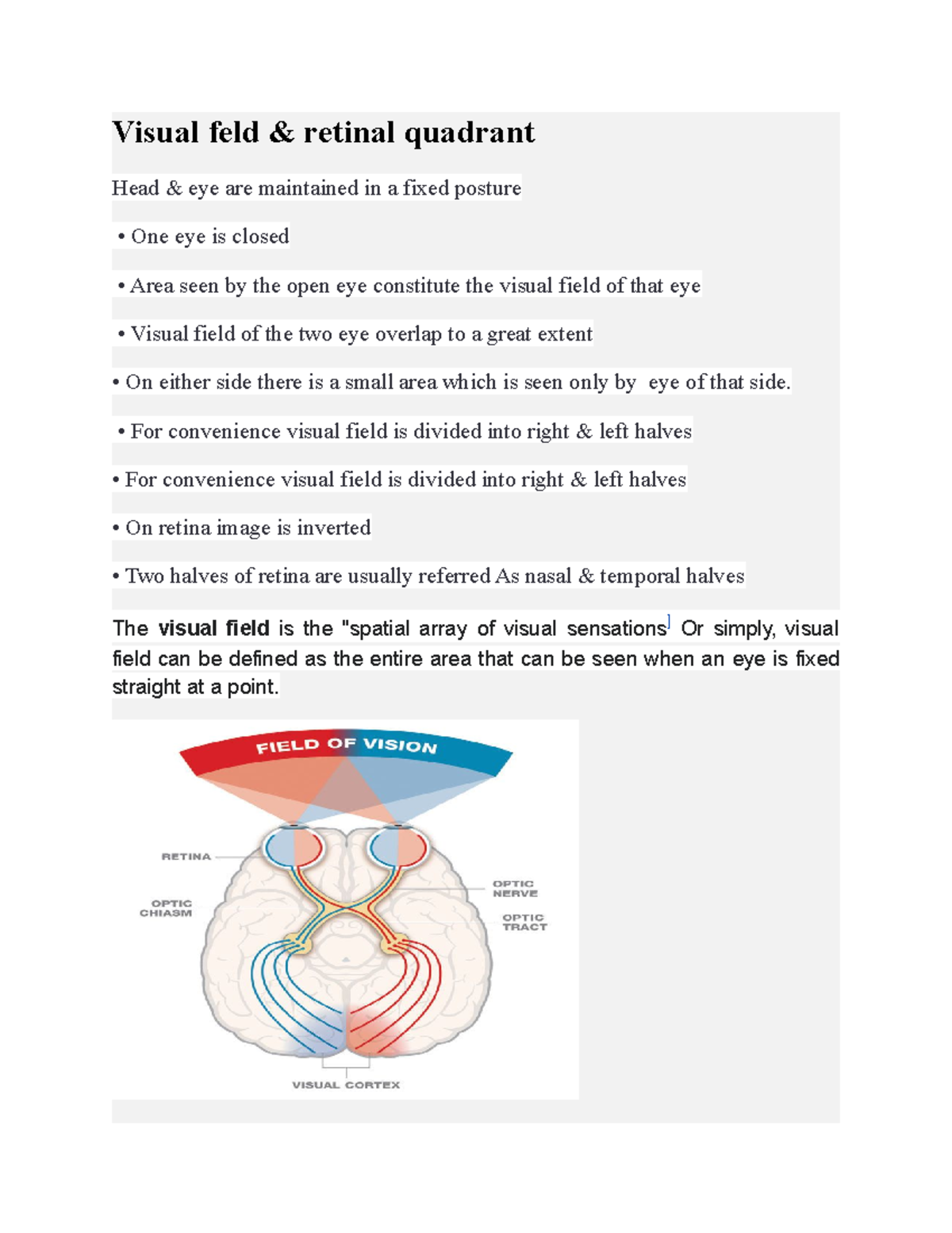Vision physiology (3) - Visual feld & retinal quadrant Head & eye are ...