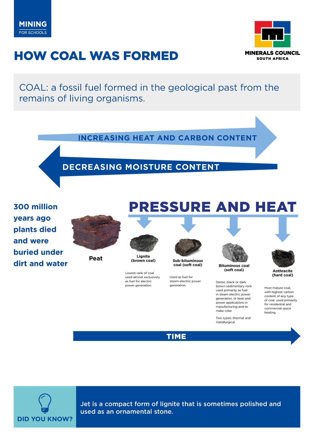 2. 8965-23 Minerals Council Mining For Schools Poster HOW COAL WAS ...
