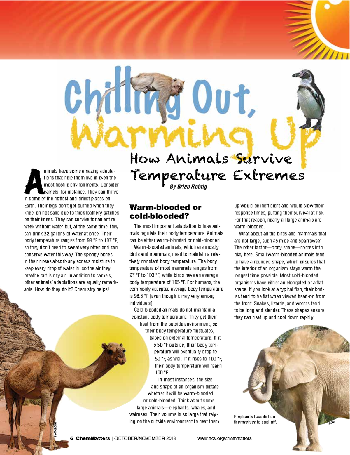 How animals survive in extreme temperatures - A nimals have some ...