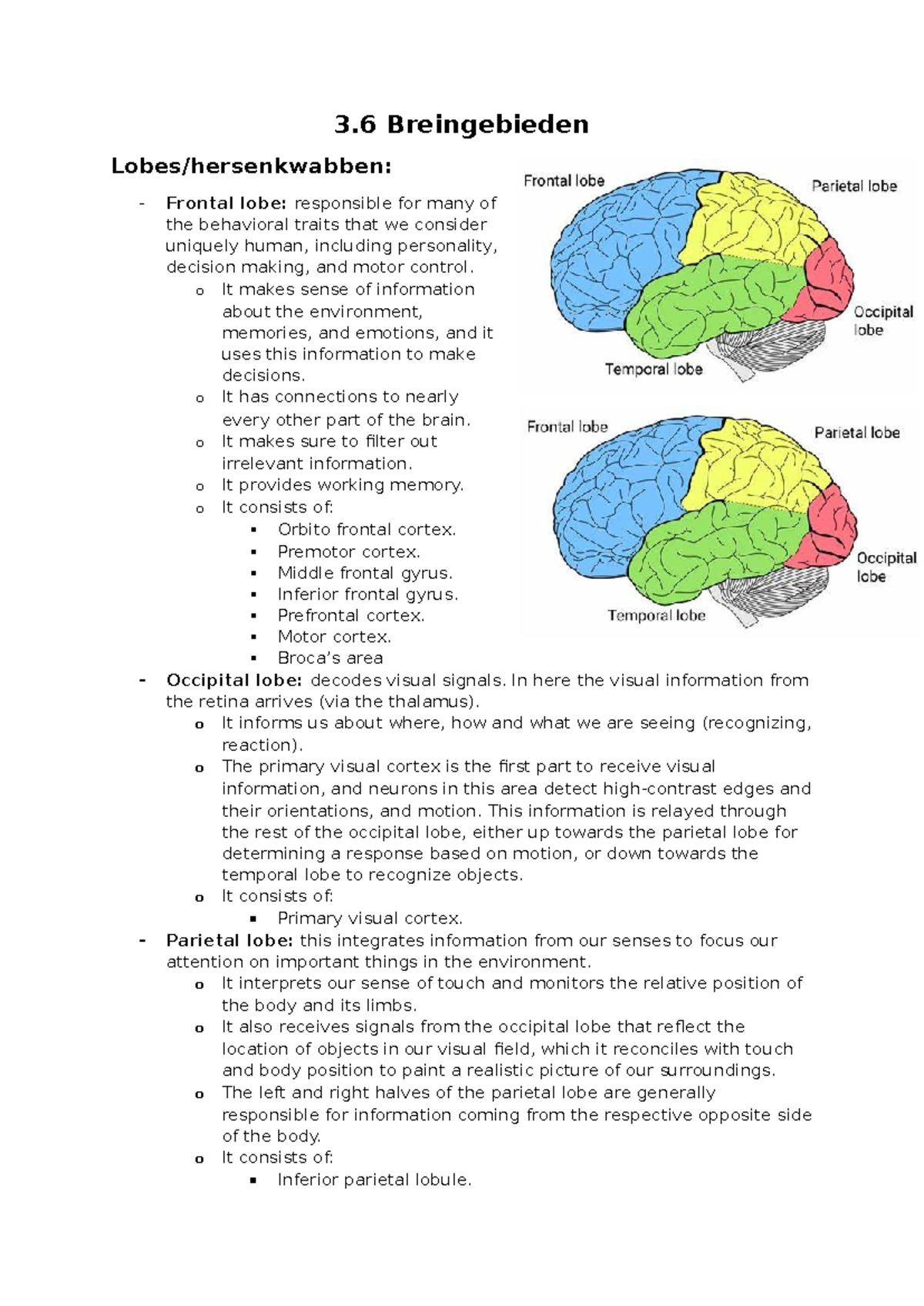 Overzicht breingebieden - 3 Breingebieden Lobes/hersenkwabben: Frontal ...
