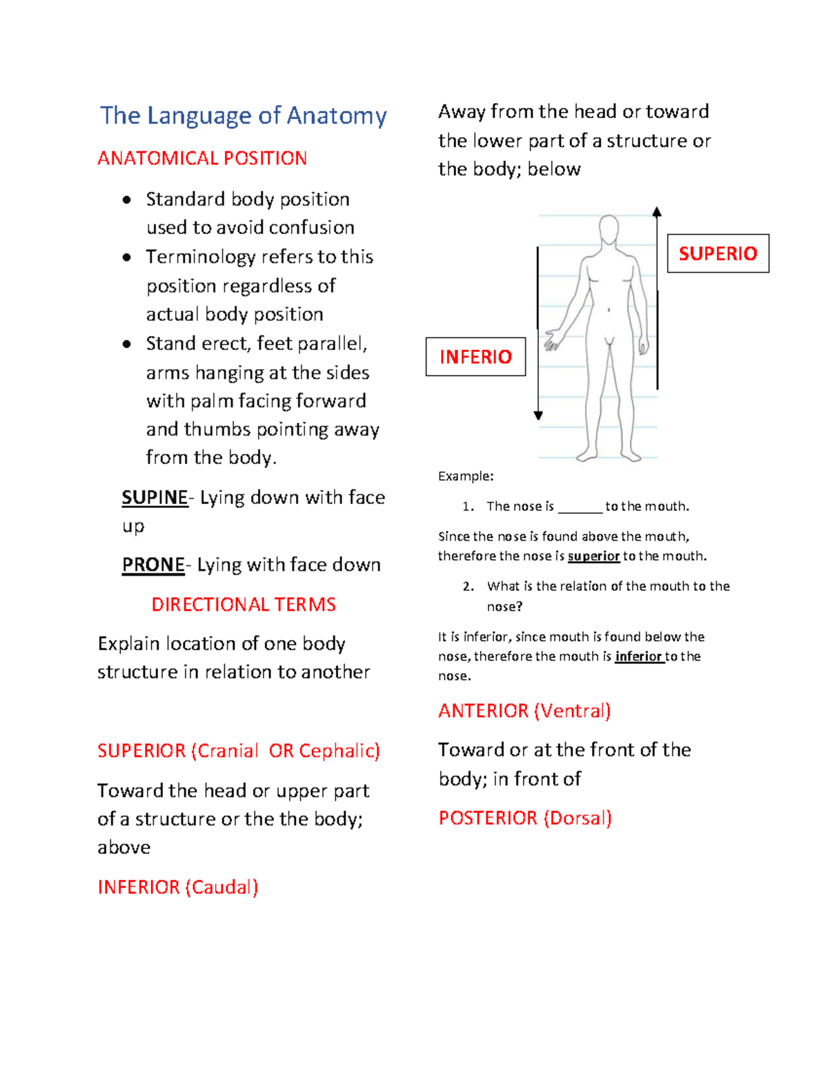 Language Of Anatomy Warning Tt Undefined Function 32 Warning Tt Undefined Function 32