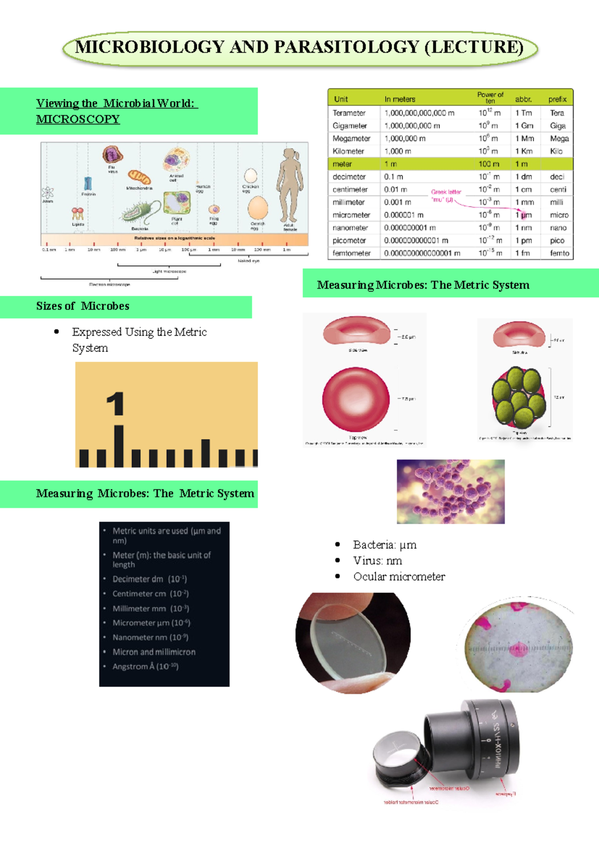 2-3 - microbiology and parasitology - MICROBIOLOGY AND PARASITOLOGY ...