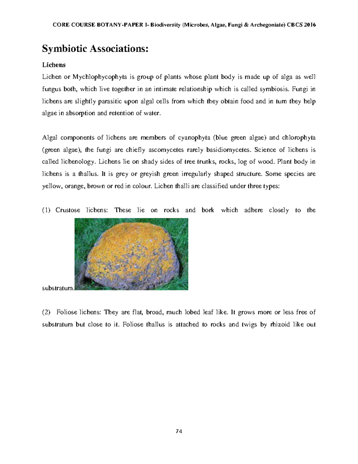 Symbiotic Associations 1 - Symbiotic Associations: Lichens Lichen or ...