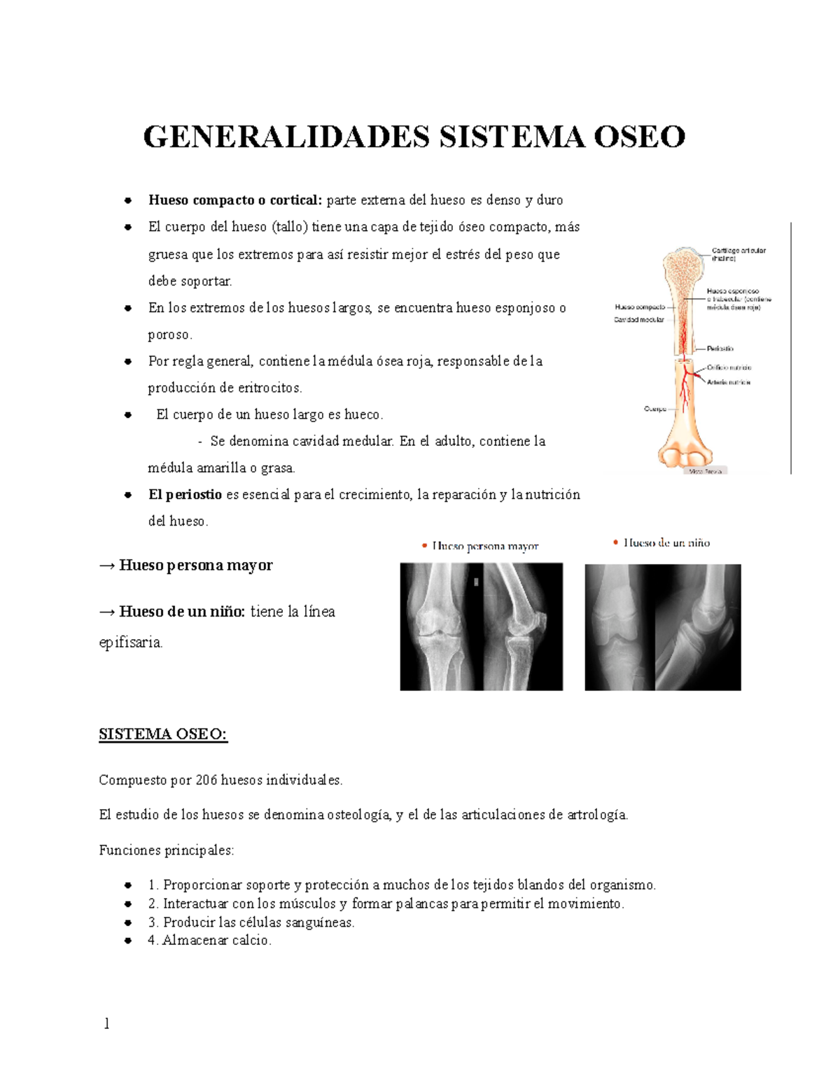 M4 Teorico EE.SS - GENERALIDADES SISTEMA OSEO Hueso compacto o cortical ...