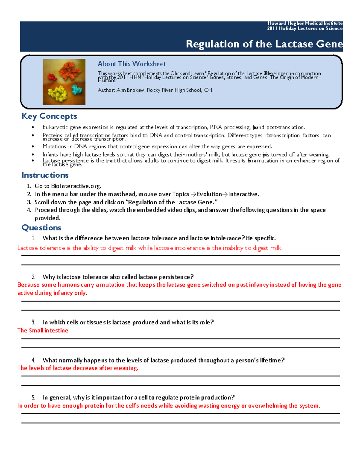 1Lac Operon - About This Worksheet This worksheet complements the Click ...