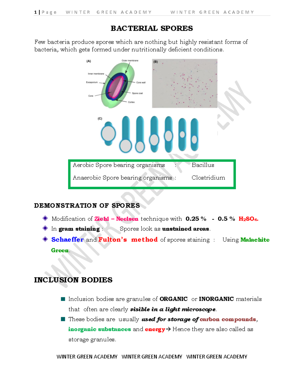 Microbiology -3 - BACTERIAL SPORES Few bacteria produce spores which ...