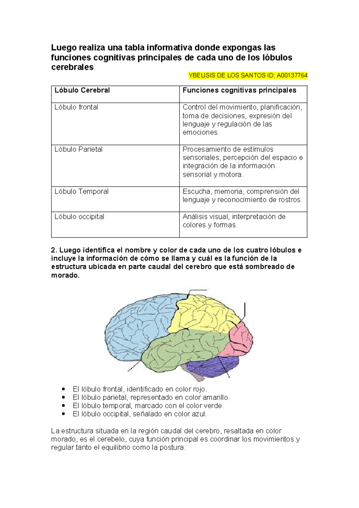 Unidad 2. Actividad 1. Lóbulos y hemisferios - Luego realiza una tabla ...