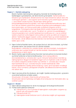 Celledeling - Mitose og Meiose - Celledeling: Der findes to typer af ...