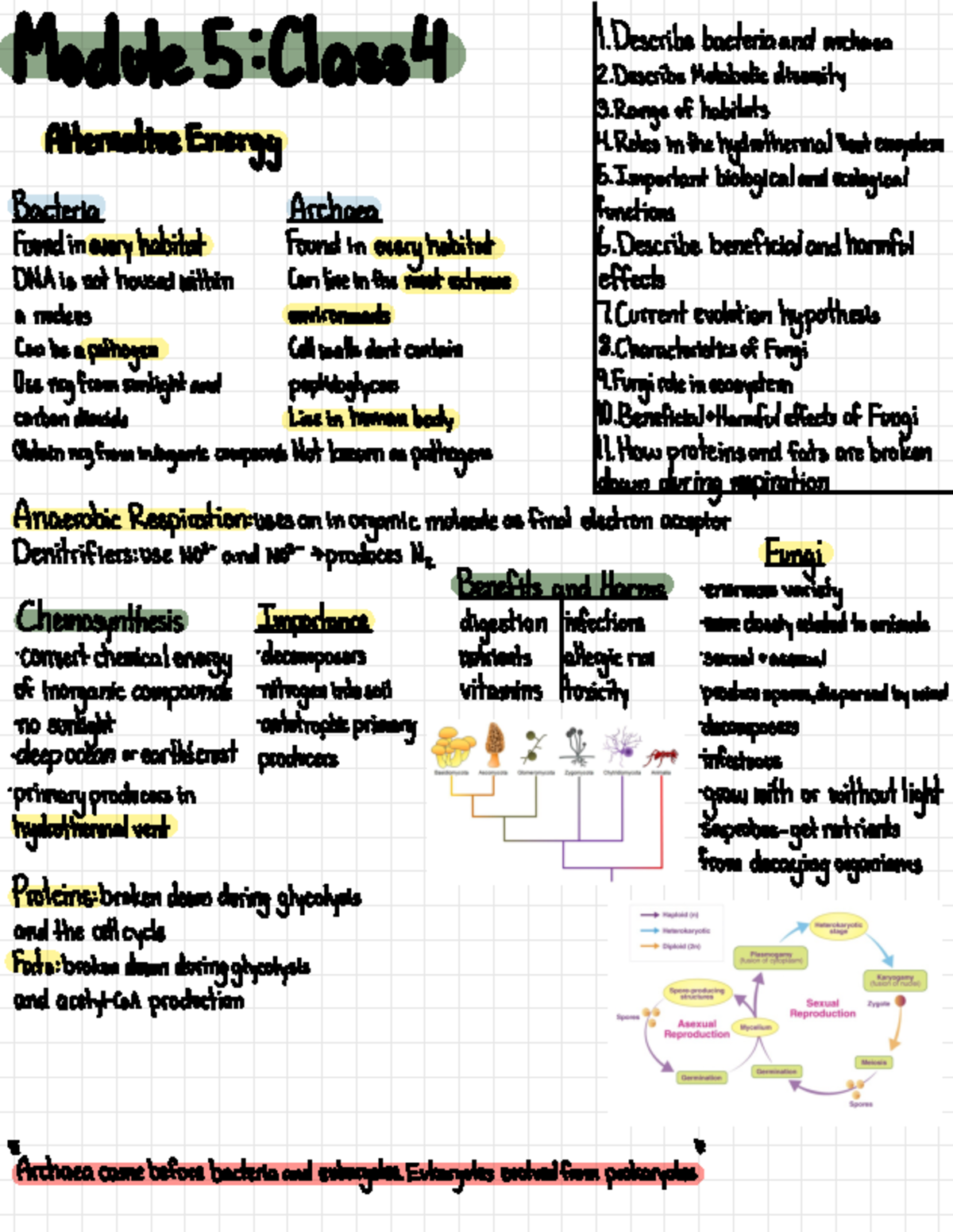 Module 5 Class 2 - Module 5:Class 4 1. Describe bacteria and archaea 2 ...