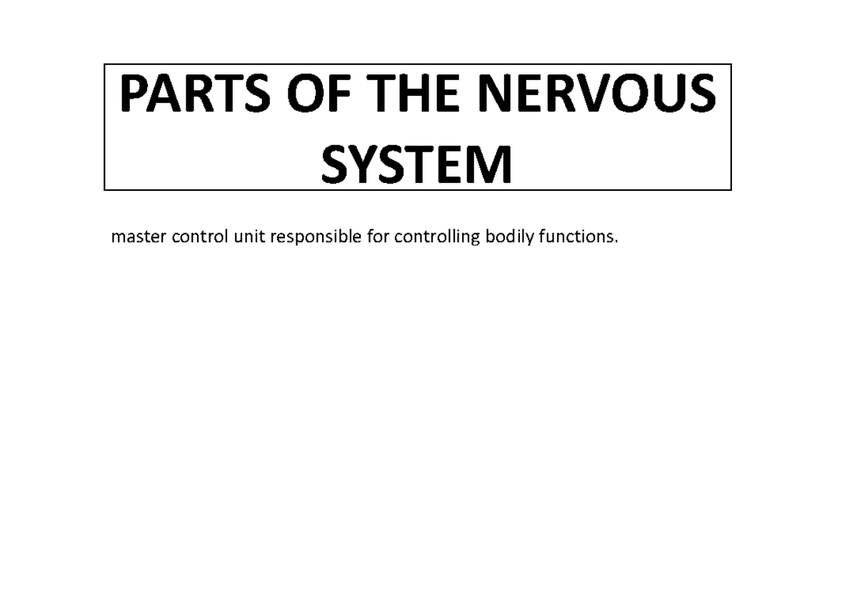 Brain AND Neurotransmitters - PARTS OF THE NERVOUS SYSTEM master ...