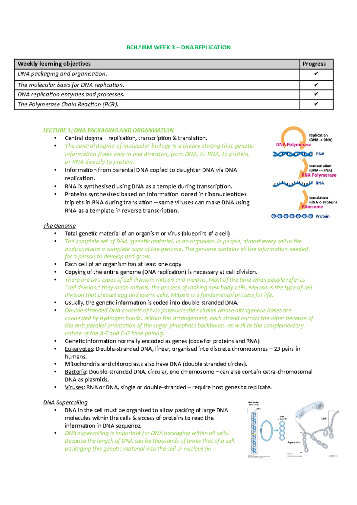 WEEK 3 lecture notes - BCH2IBM WEEK 3 – DNA REPLICATION Weekly learning ...