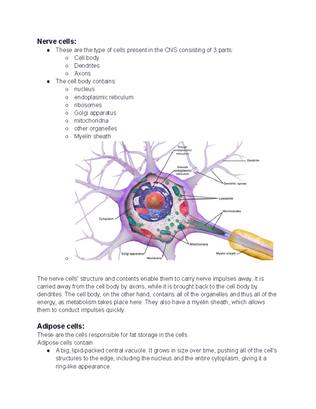 Nerve cells, Adipose cells, and Blood cells - Nerve cells: These are ...