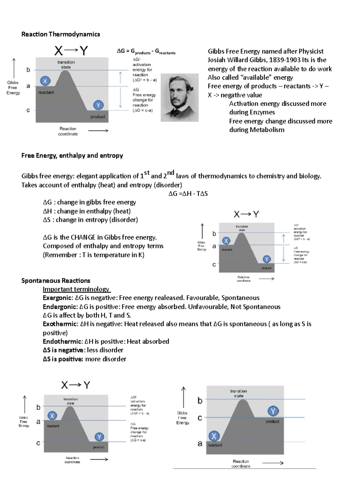 Topic 1 - amino acids - Lecture notes 1 - Reaction Thermodynamics Gibbs ...