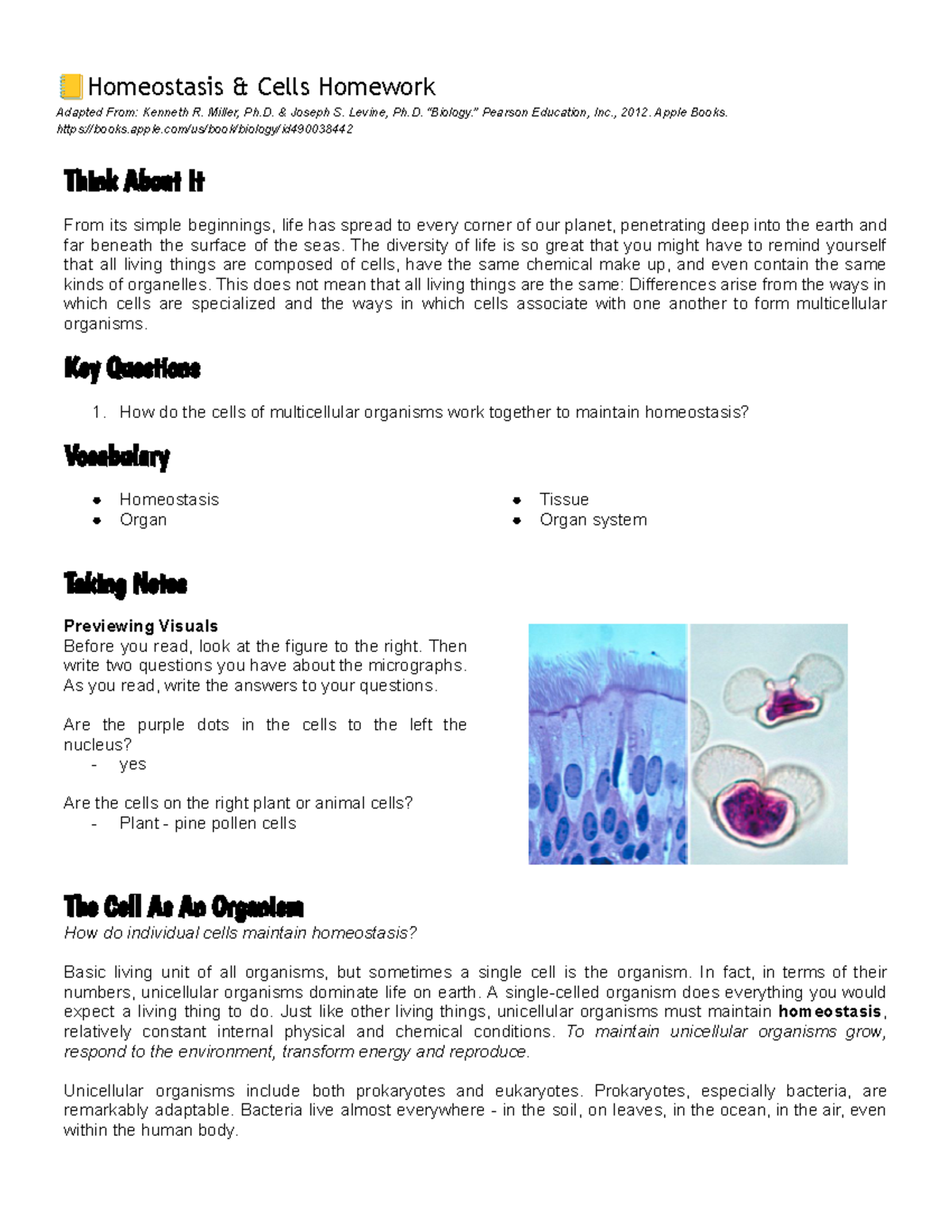 Copy of [A] Homeostasis & Cells Homework - 📒Homeostasis & Cells ...