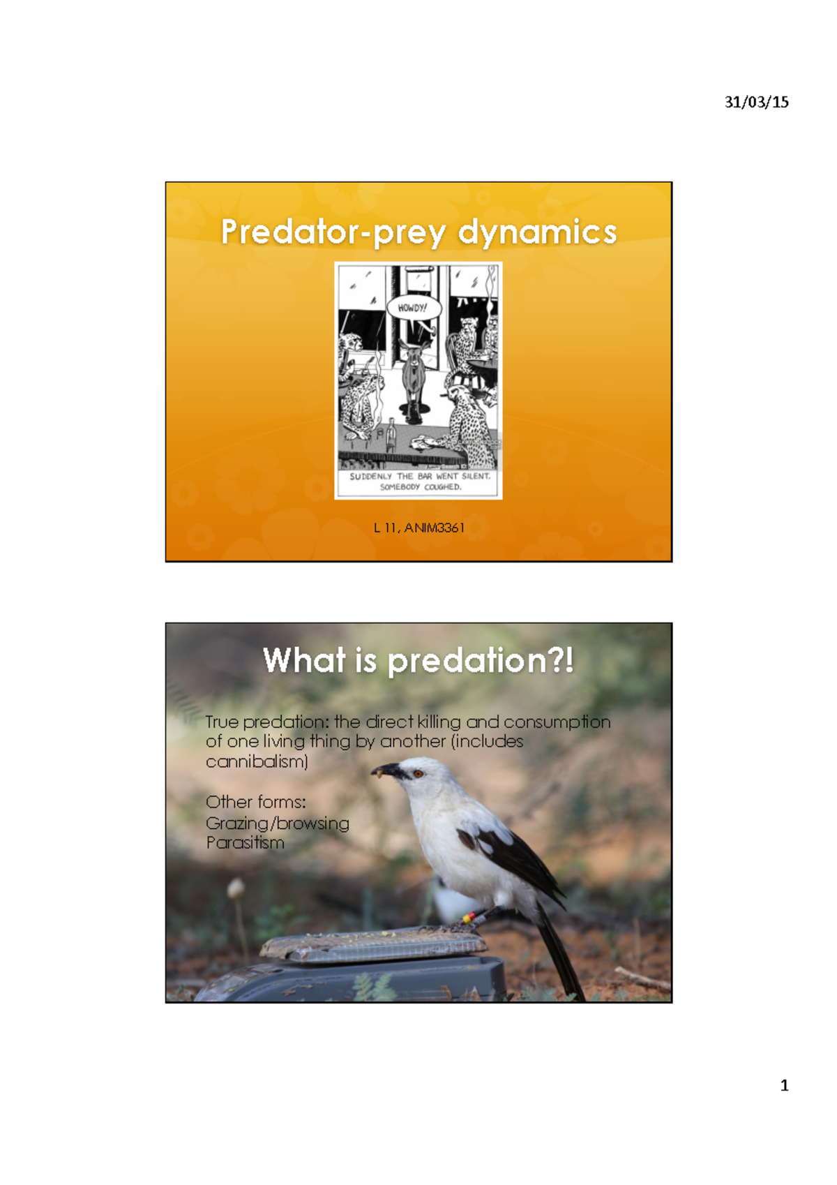 Lecture notes, lectures 11 - animal populations - Predator-prey ...