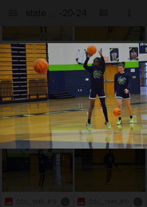 [ALL CORE Practicals] Unit 3 Core Practicals Summary - 1 Estimating the concertation of reducing ...