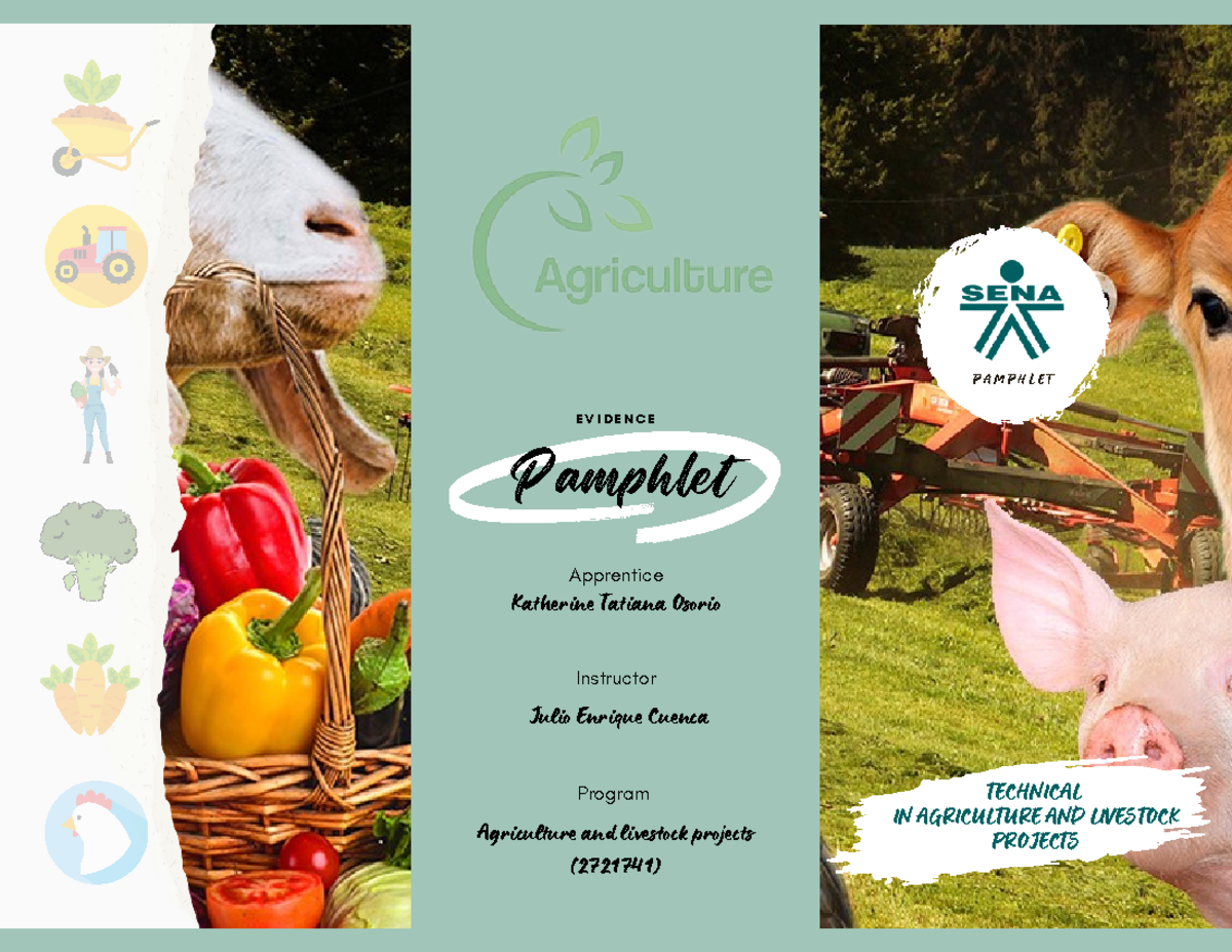 Pamphlet English - folleto de ingles - Pamphlet E V I D E N C E ...