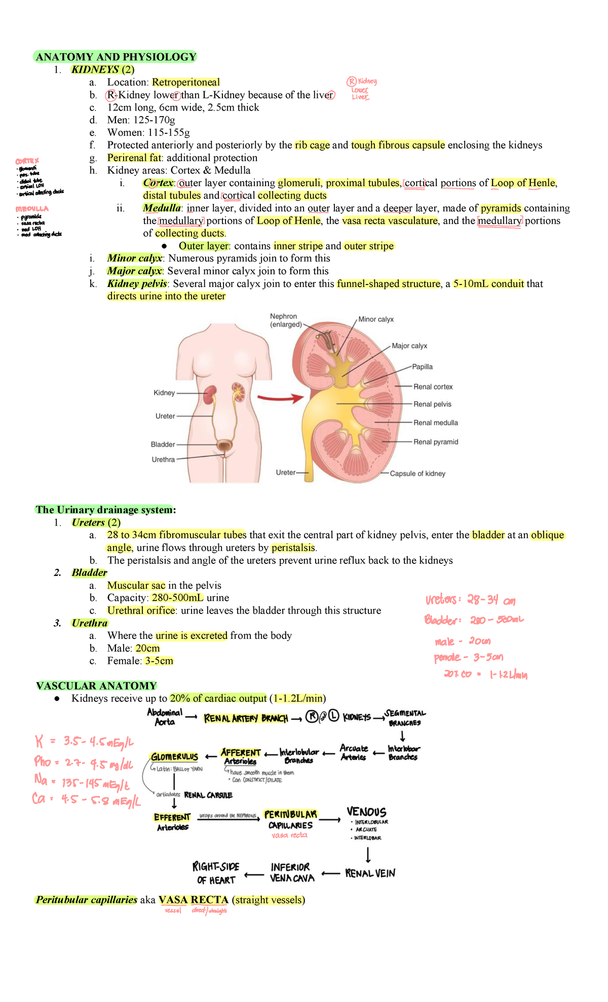 AKI CKD - This is a comprehensive discussion on anaphysio and ...
