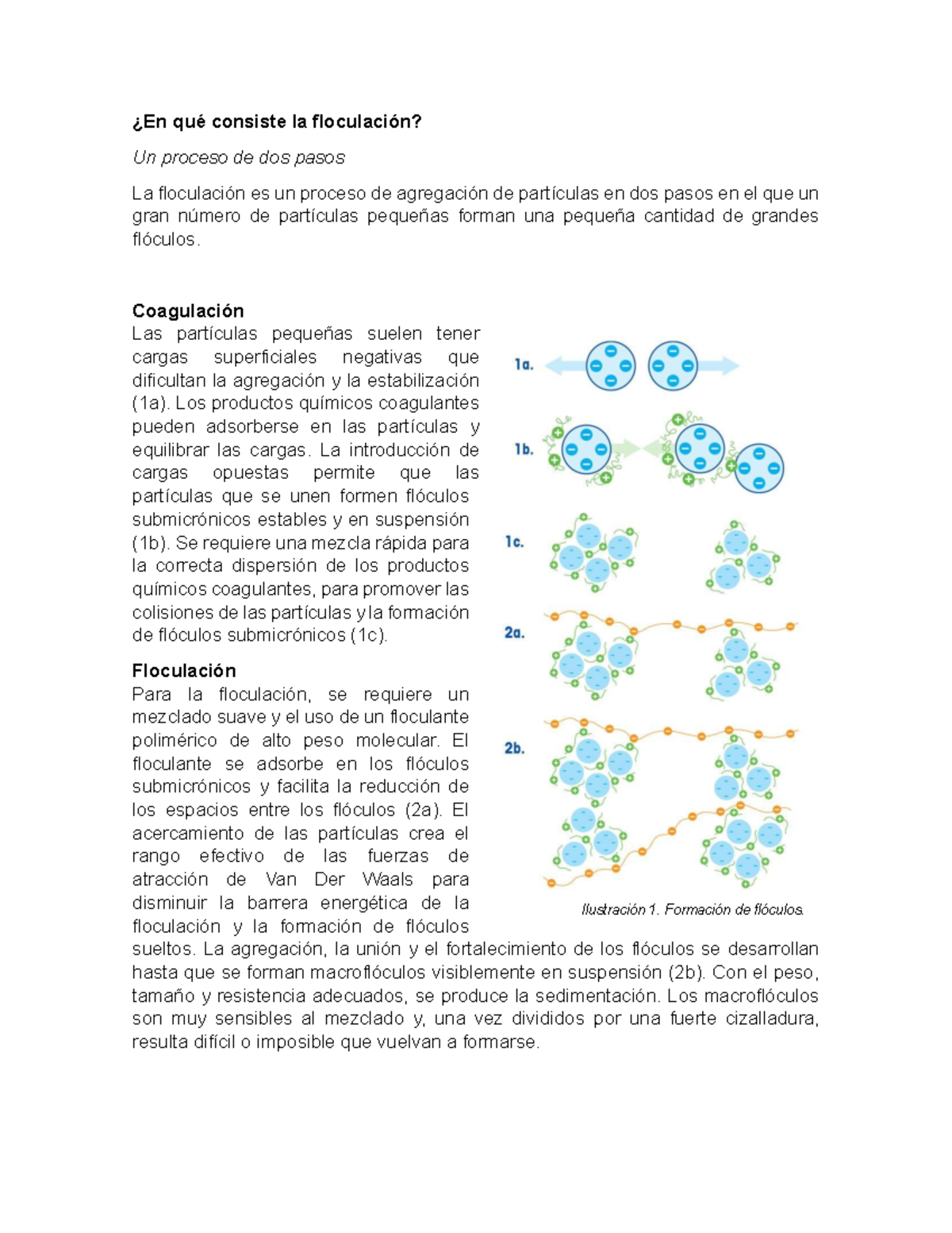 Floculantes - ¿En qué consiste la floculación? Un proceso de dos pasos ...
