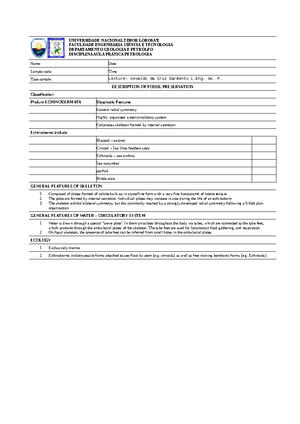 Maromak nia Domin ne'e Real - TÍTULU MAROMAK NIA DOMIN NE’E REAL ...