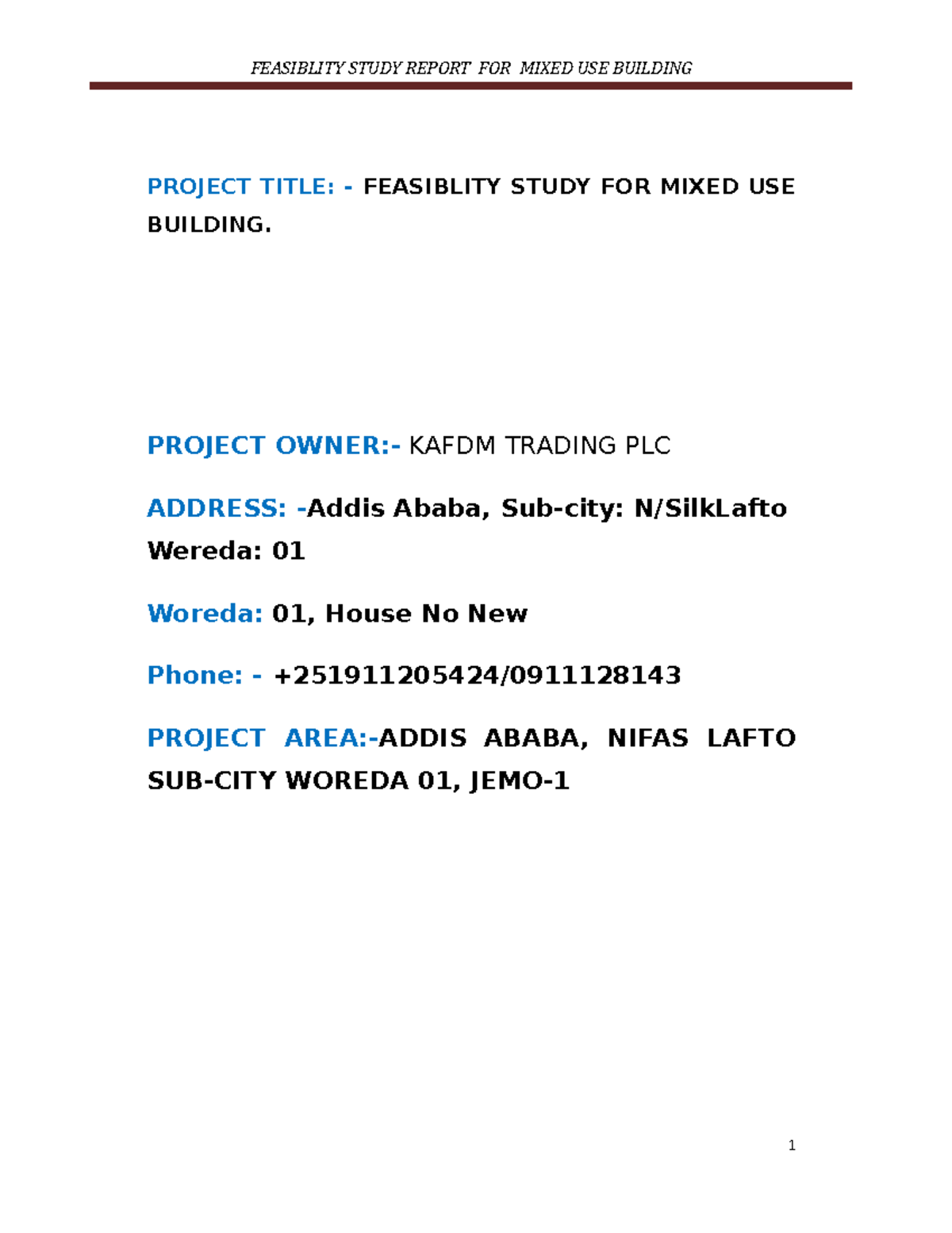 Feasibility Study FOR Mixed USE Building - PROJECT TITLE: - FEASIBLITY ...