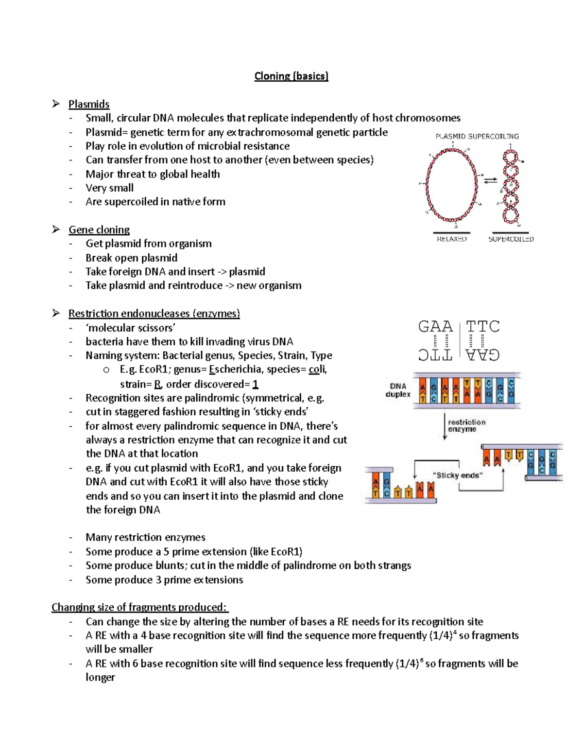 Cloning basics (and vectors) - Cloning (basics) Plasmids - Small, circular DNA molecules that ...